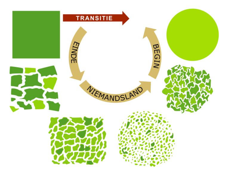 Wat is transitie? – Hilde|TransitieCoach